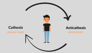 Sigmund Freud's Theory of Cathexis and Anticathexis