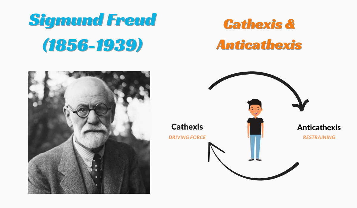 Sigmund Freud's Theory of Cathexis and Anticathexis